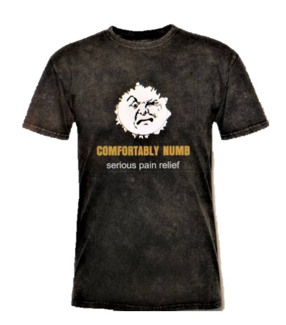 Funny And Unique Comfortably Numb T Shirt Moko Organics